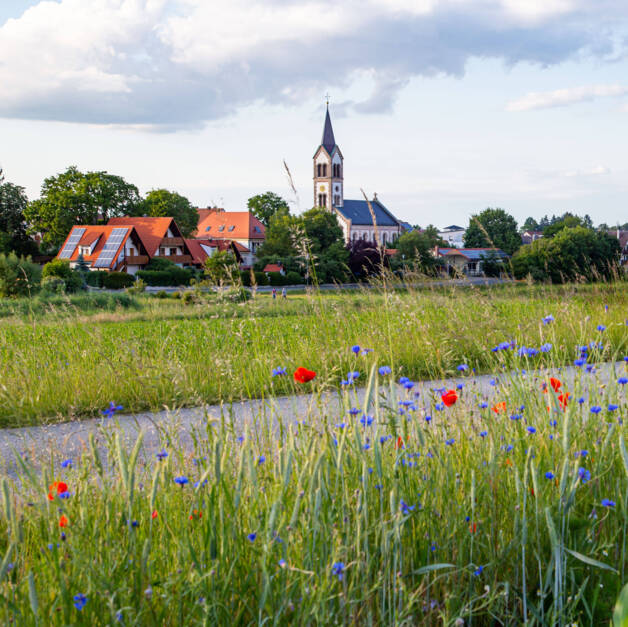 Markt Weisendorf - Markt Weisendorf