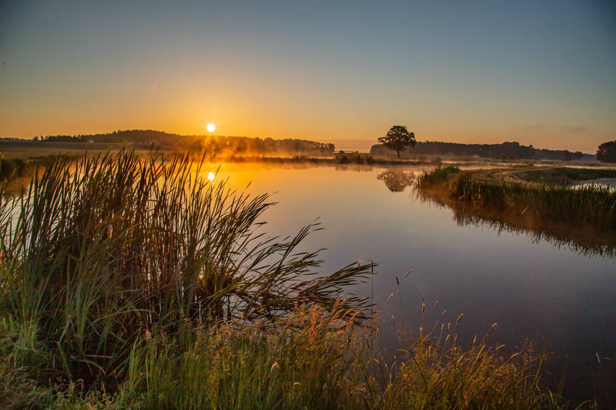 Unsere Gemeinde - Markt Weisendorf