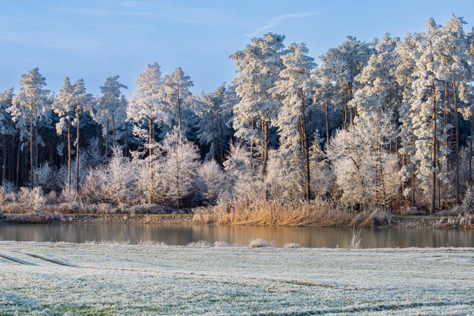 Aktuelles aus Weisendorf - Unsere Gemeinde - Markt Weisendorf