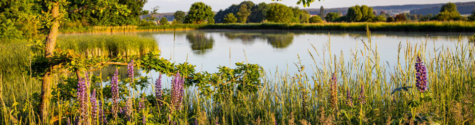 Unsere Gemeinde - Markt Weisendorf