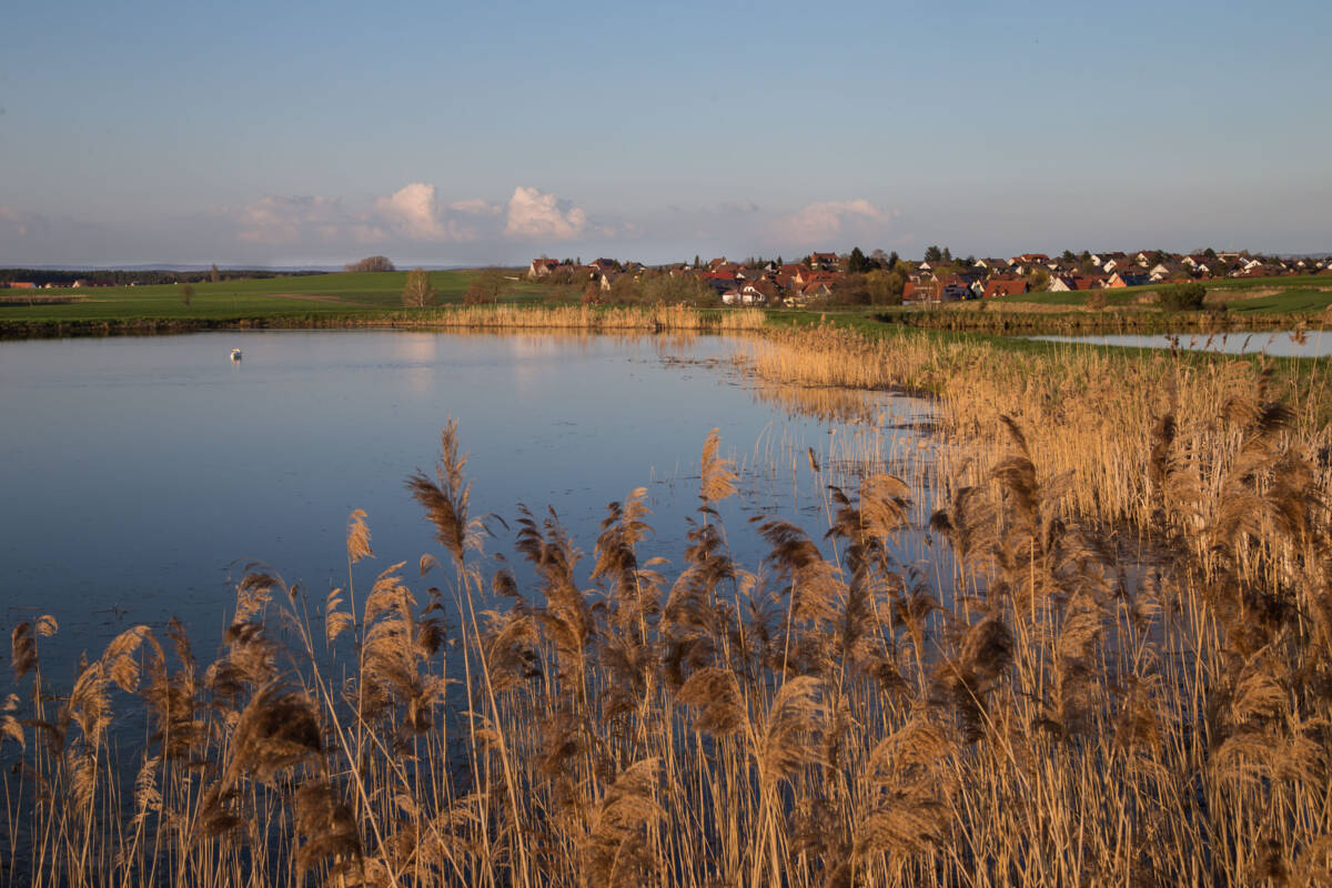 Unsere Gemeinde - Markt Weisendorf